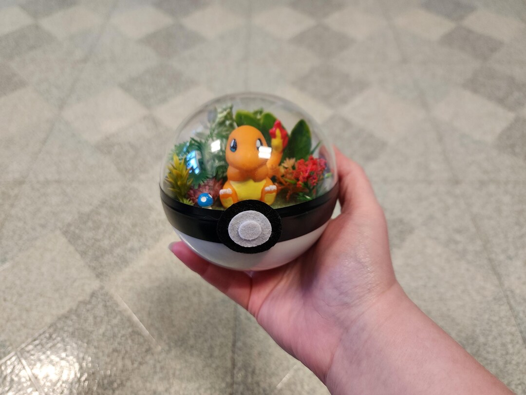 PKMN | Charmander 4" Poké Ball Terrarium - Etsy