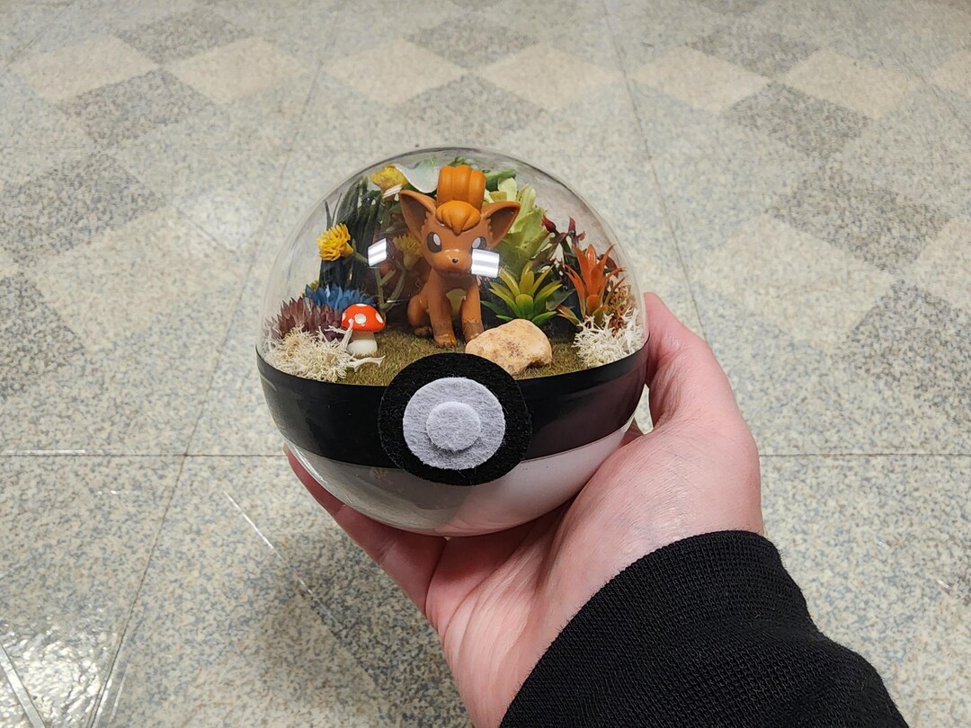 Pokepal | Vulpix 4" Poké Ball Terrarium - Etsy