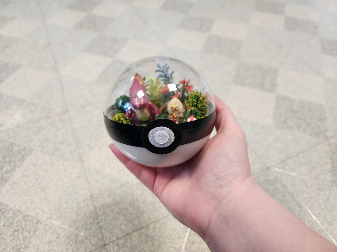 PKMN | Charmeleon 4" Poké Ball Terrarium - Etsy