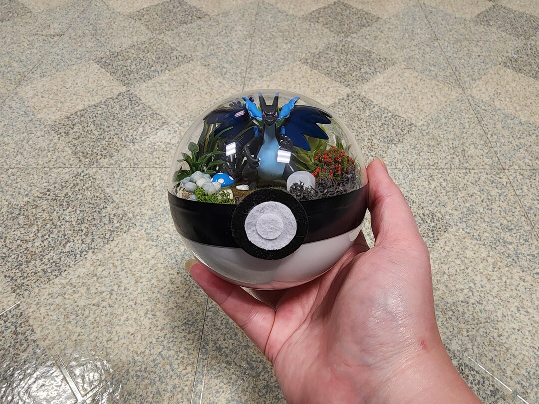 Pokepal | Mega Charizard X 4" Poké Ball Terrarium - Etsy