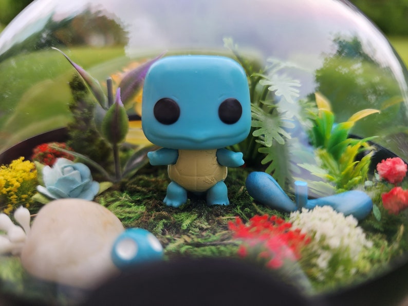 PKMN Squirtle Custom Terrarium Poke Ball - Etsy PKMN Squirtle Custom Terrarium Poke Ball - Etsy