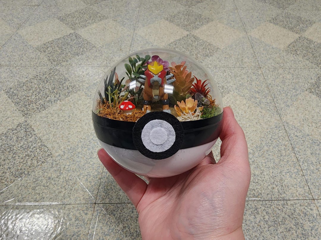 Pokepal | Entei 4" Poké Ball Terrarium - Etsy