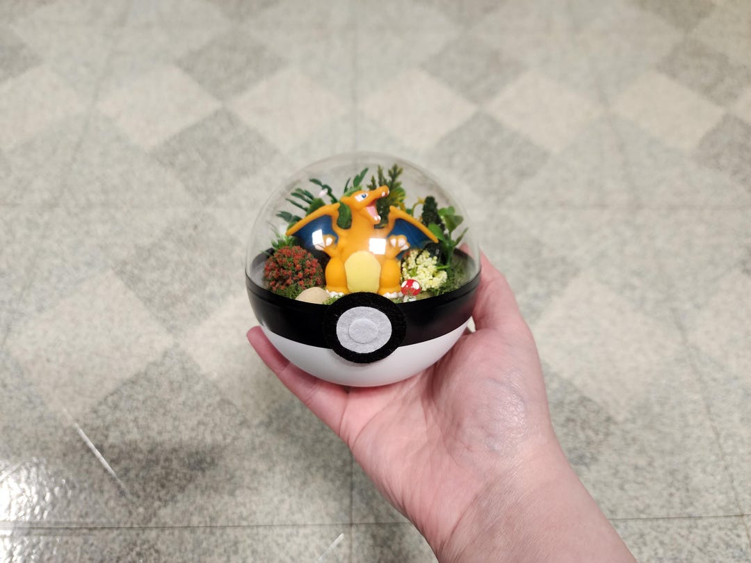 Pokepal | Charizard 4" Poké Ball Terrarium - Etsy