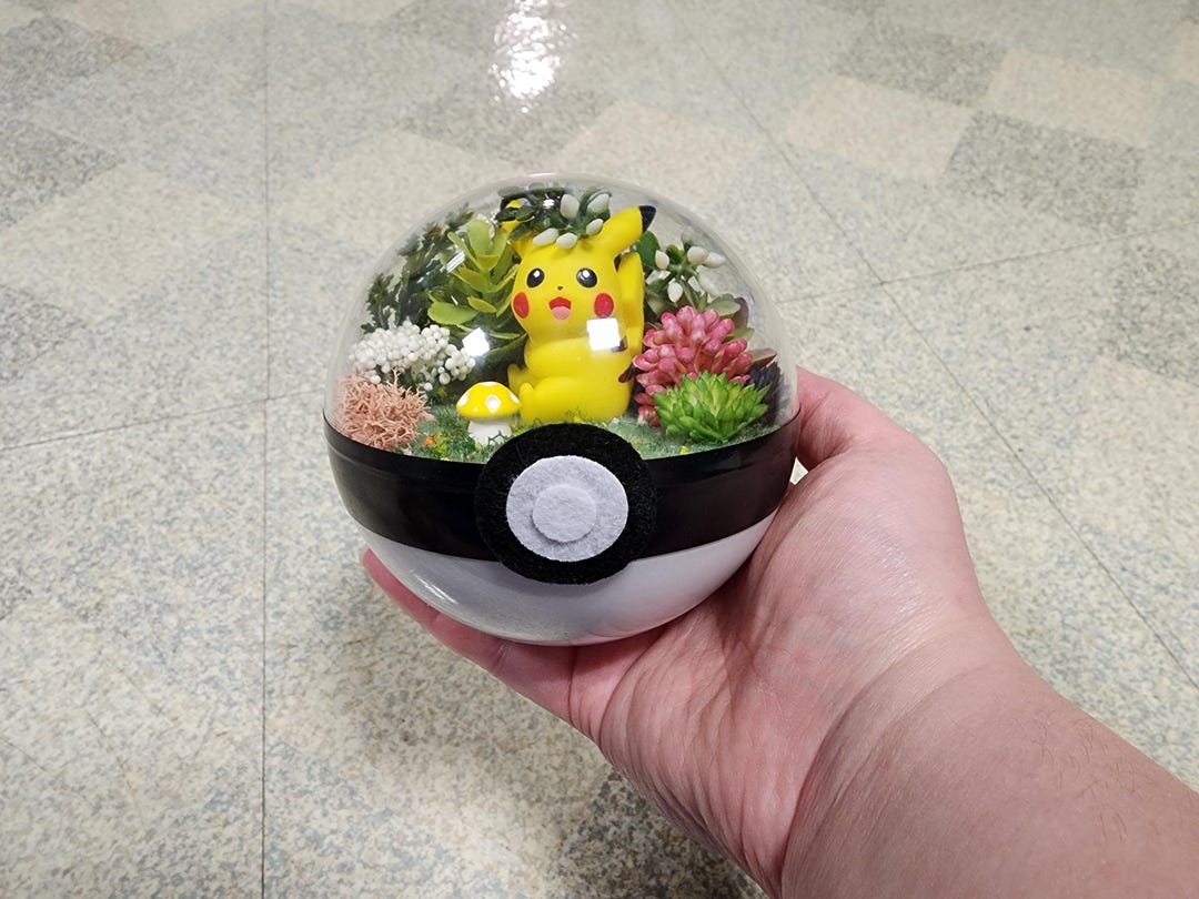 Pokepal | Pikachu 4" Poké Ball Terrarium - Etsy