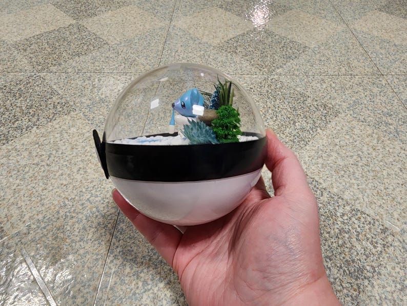 Pokepal | Cubchoo 4" Poké Ball Terrarium - Etsy