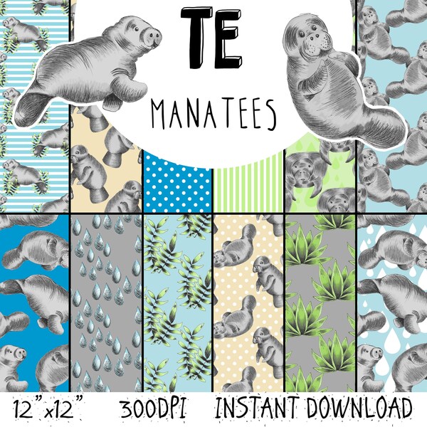 Manatee - Etsy