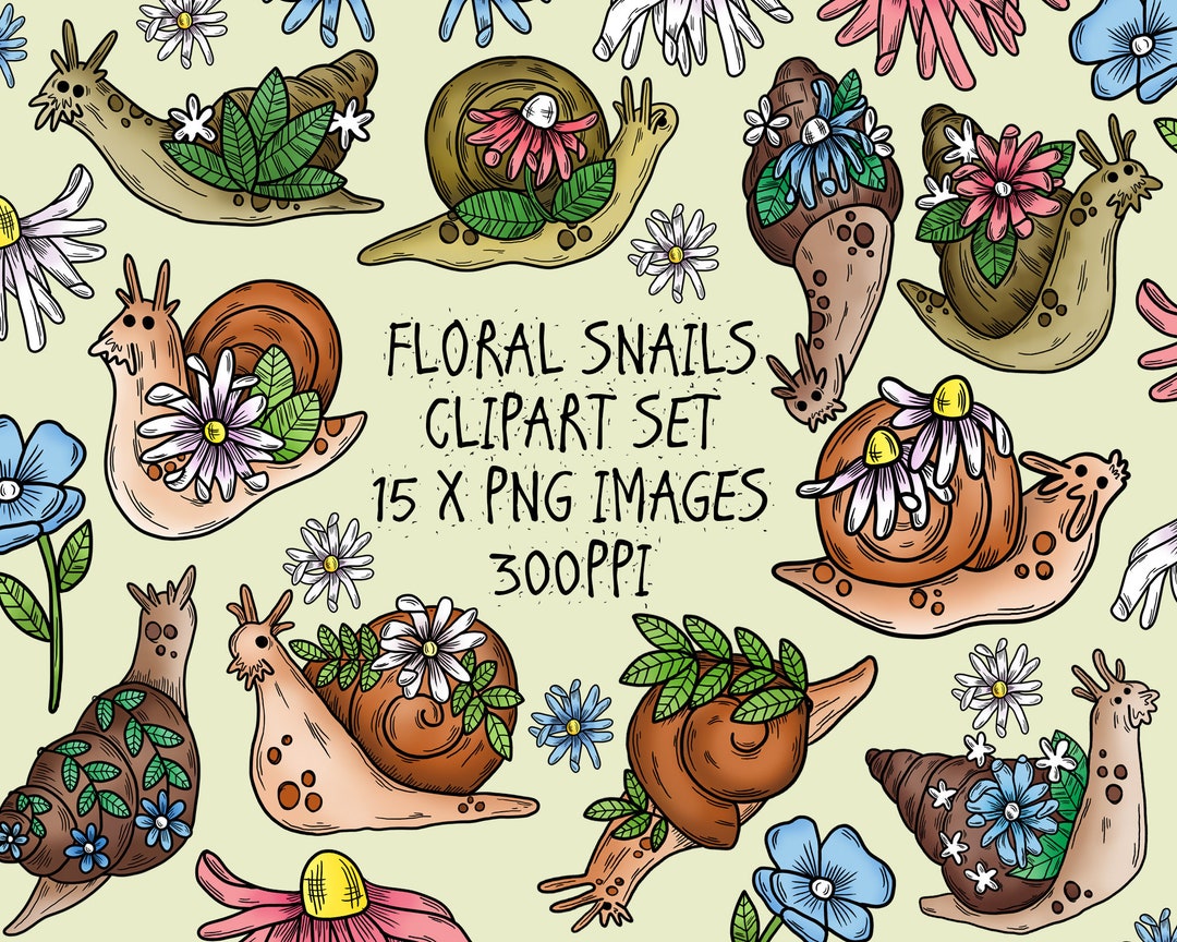 Floral Snails Clipart Set. 15 PNG Images. Hand Drawn Kawaii Snail Mail ...