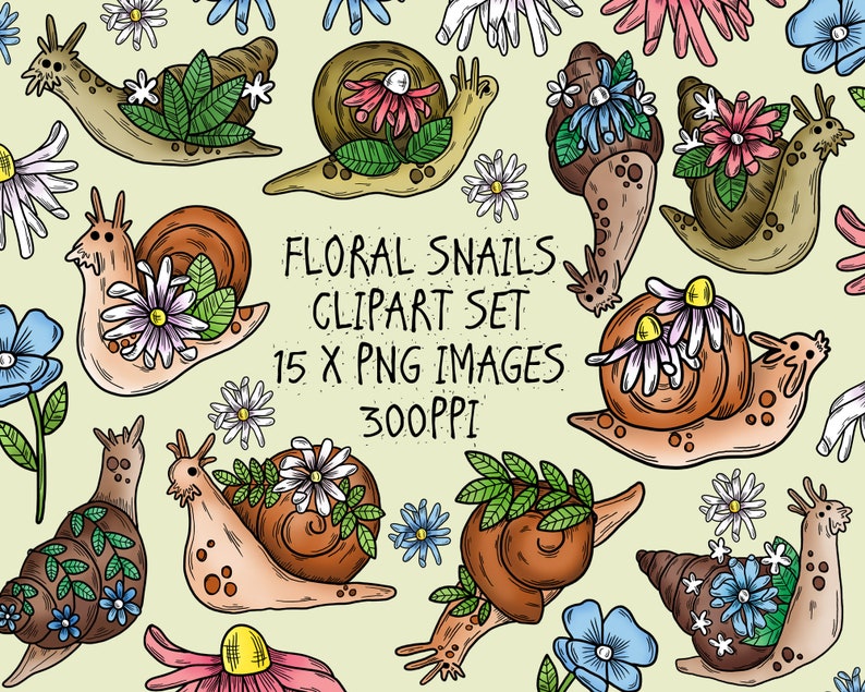 Floral Snails Clipart Set. 15 PNG Images. Hand Drawn Kawaii Snail Mail ...