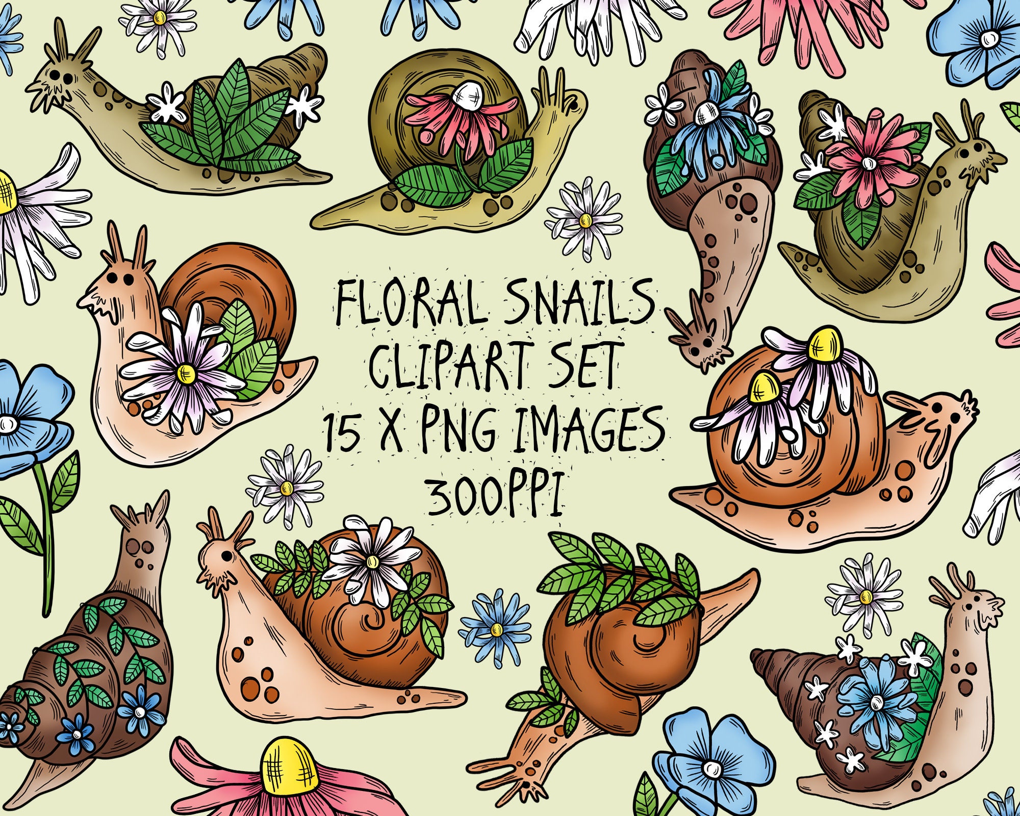 Floral Snails Clipart Set. 15 PNG Images. Hand Drawn Kawaii Snail Mail ...