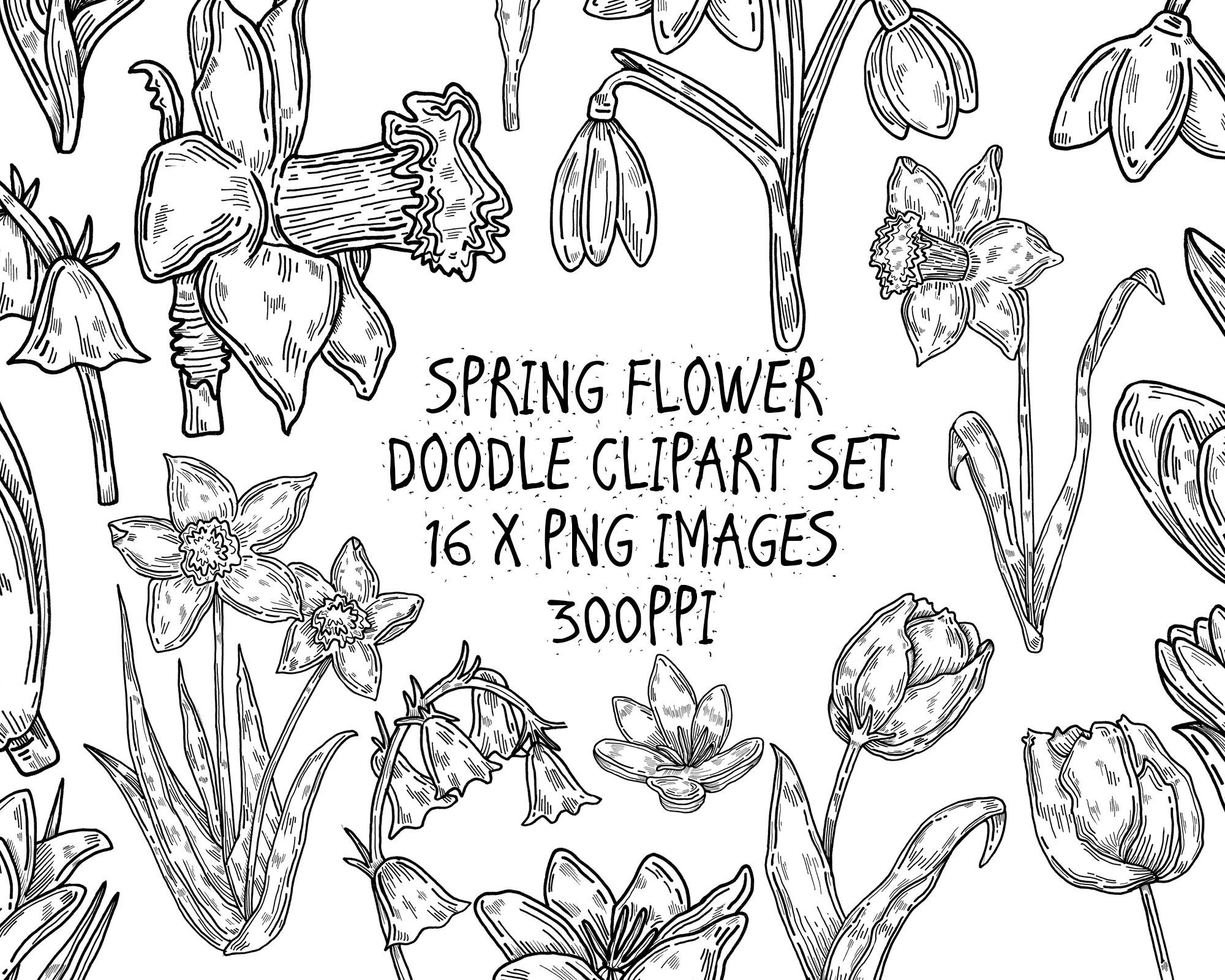 Spring Flowers Clipart Black And White