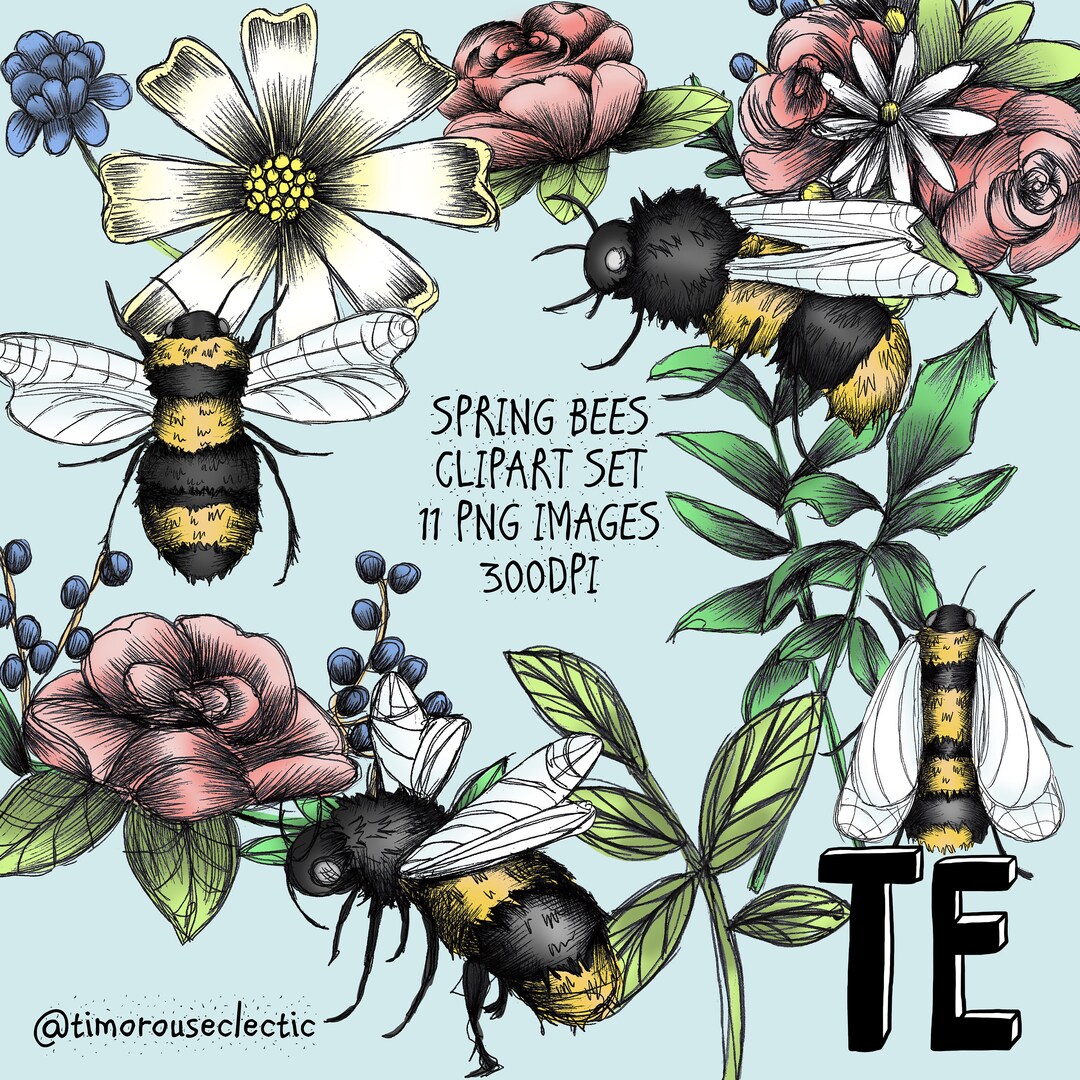 Spring Bees Clipart Set 11 X PNG Images Cute Honey Bee Pen ...