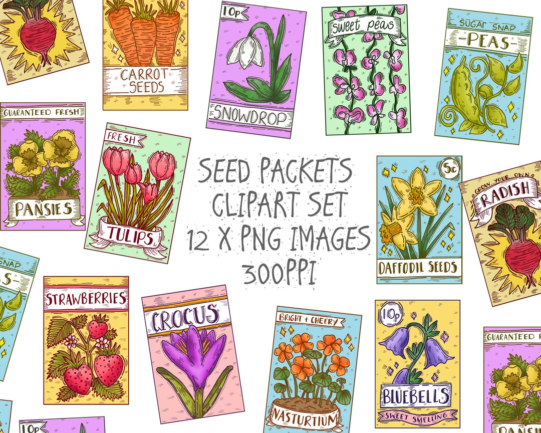 Flower Seeds Clipart
