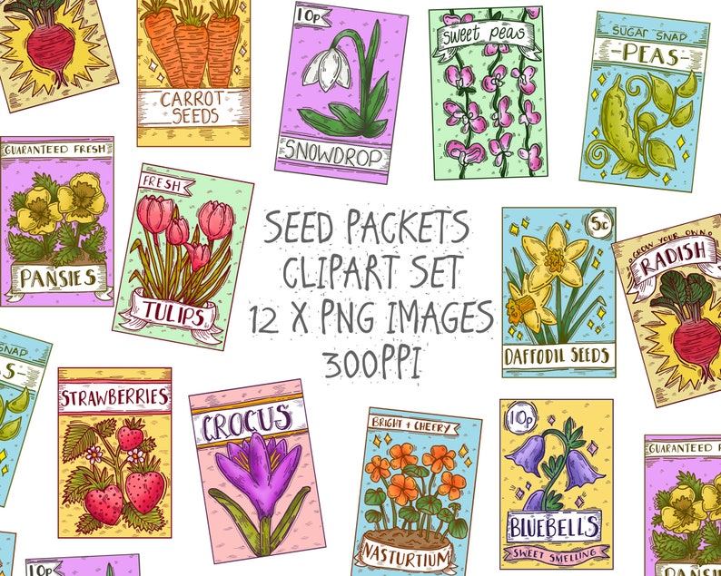 Seed Packet Clipart Set 12 X PNG Images Spring Garden and | Etsy UK
