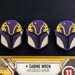 Set of 6 SW Destiny Sabine Helmet Shield Tokens - Etsy