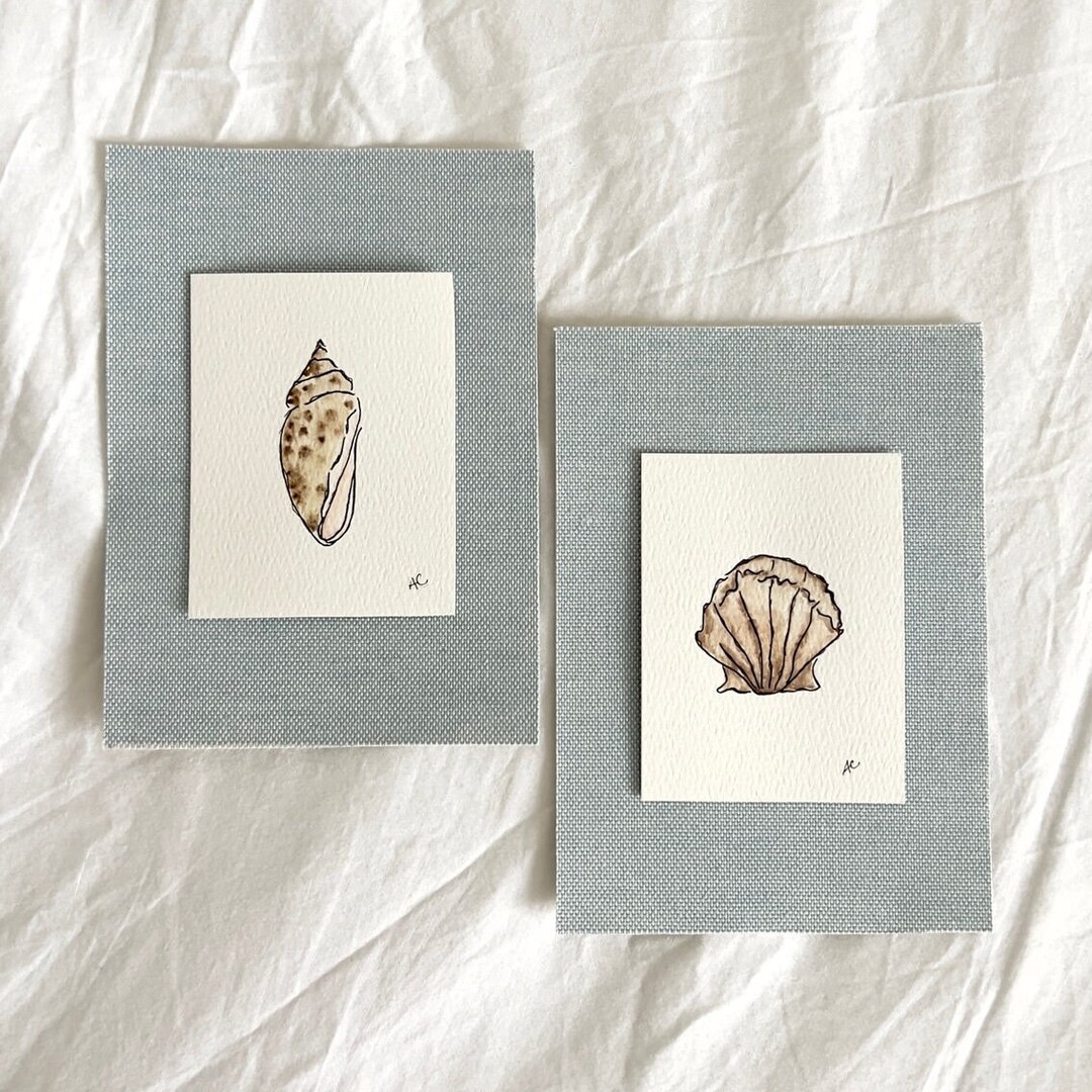 Original Sea Shell Miniature Watercolor Paintings - Set of 2 Watercolor ...