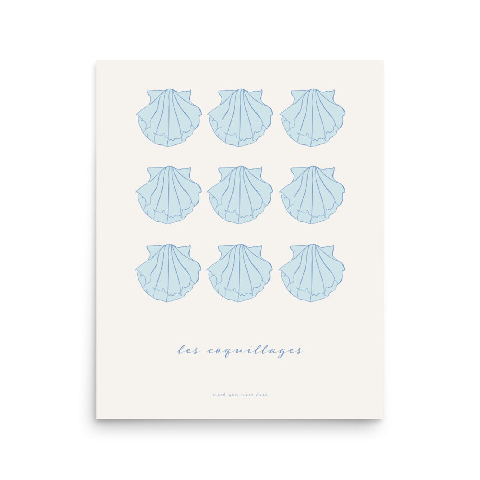 Shells 02 Light Blue - Seashell Line Drawing on Tea Background - Line ...