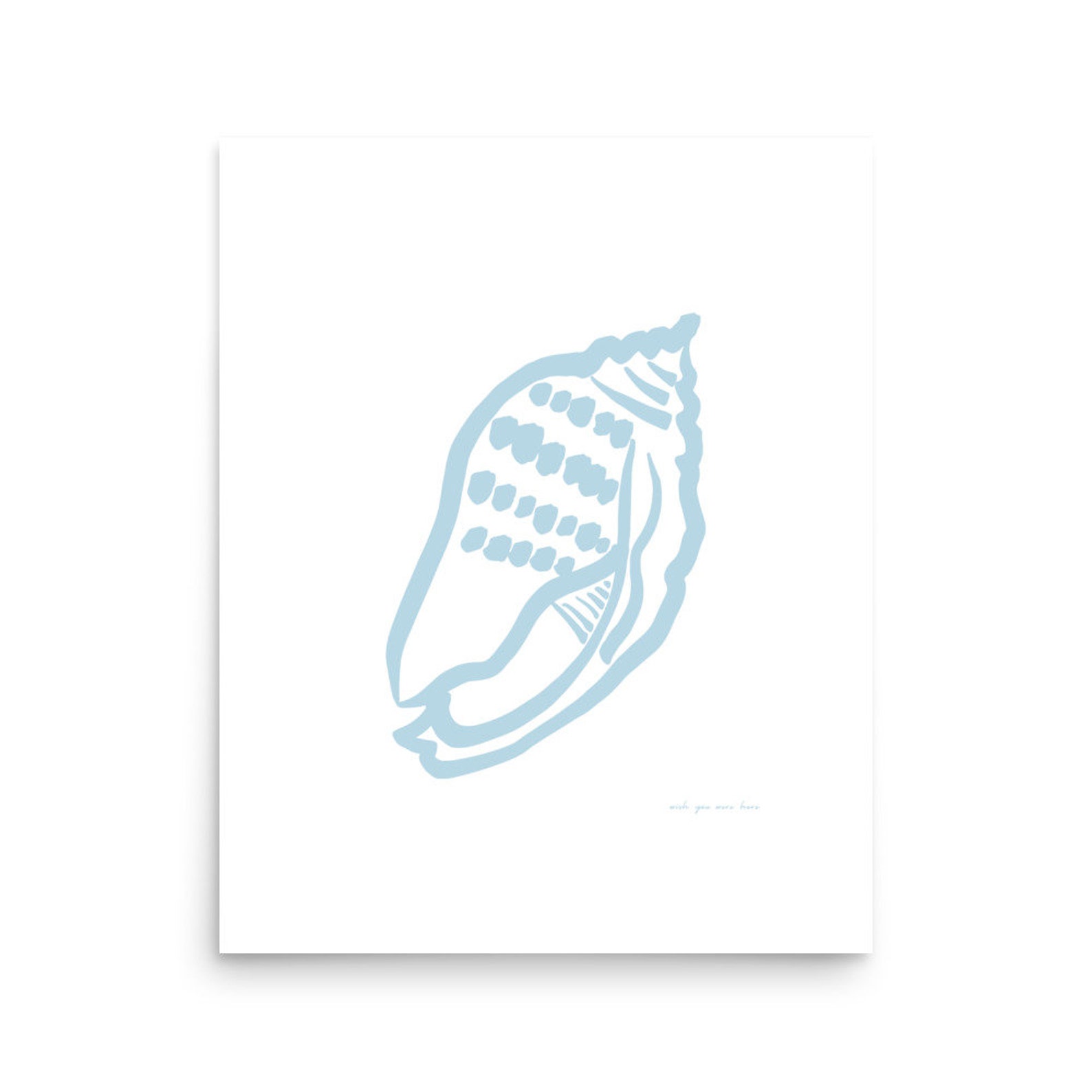 Junonia Shell 01 Light Blue Shell Art Print Coastal Drawing Art Print ...