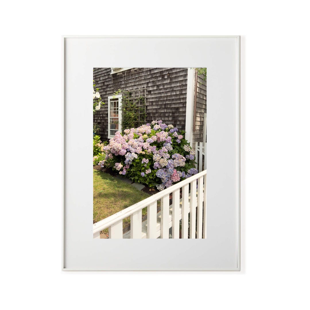Hydrangea 01 - Hydrangea Photography Print - Nantucket Print - New ...