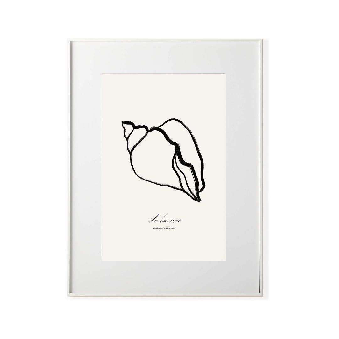 Conch De La Mer - Conch Shell Art Print - Coastal Drawing Art Print ...