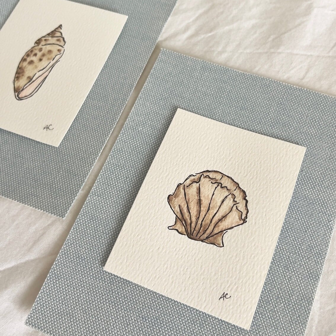 Original Sea Shell Miniature Watercolor Paintings Set of 2 Watercolor ...