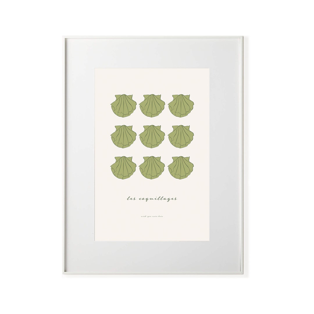 Shells 02 Tropical Green Seashell Line Drawing on Tea Background Line ...