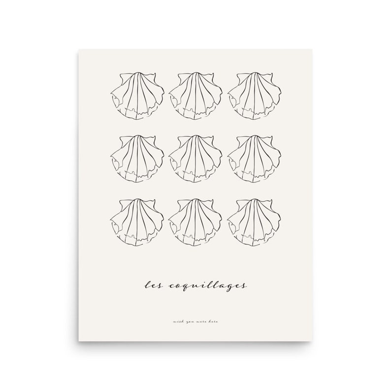 Shells 02 - Seashell Line Drawing on Tea Background - Line Drawing Art ...