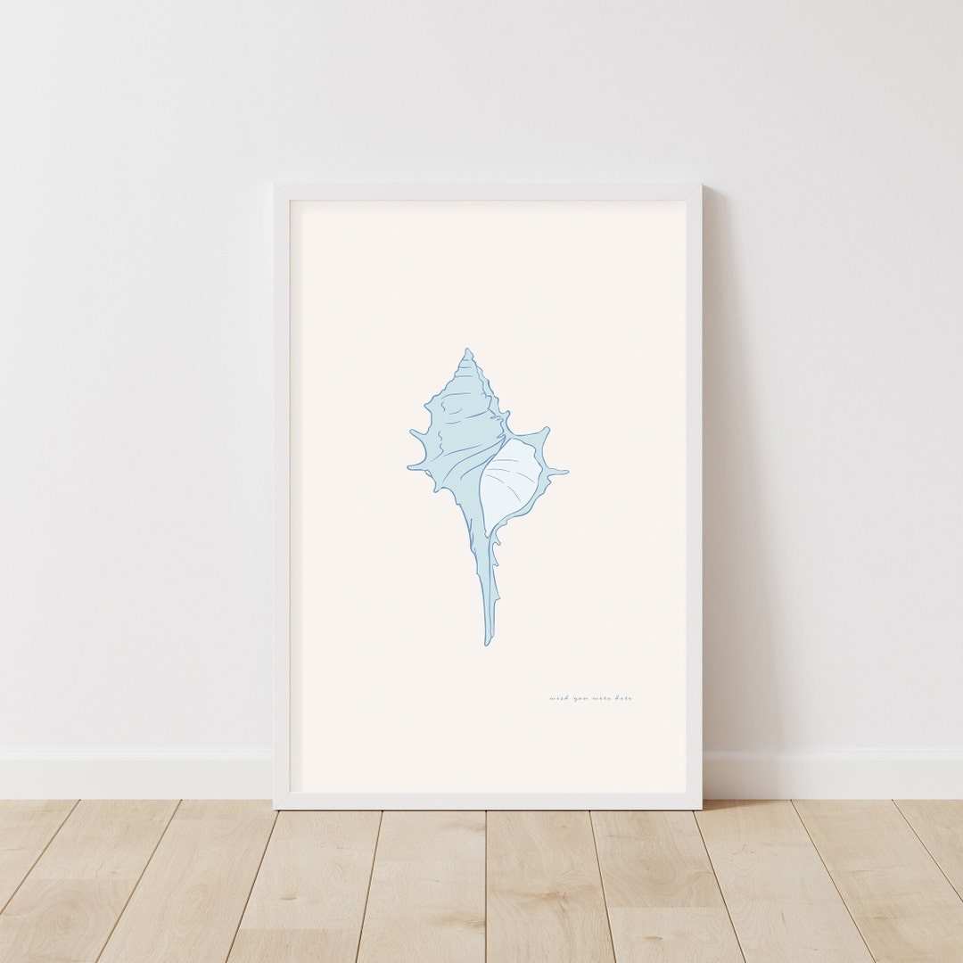 Conch Periwinkle Conch Shell Line Drawing on Tea Background Line ...