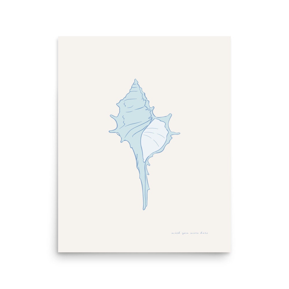 Conch Periwinkle Conch Shell Line Drawing on Tea Background Line ...