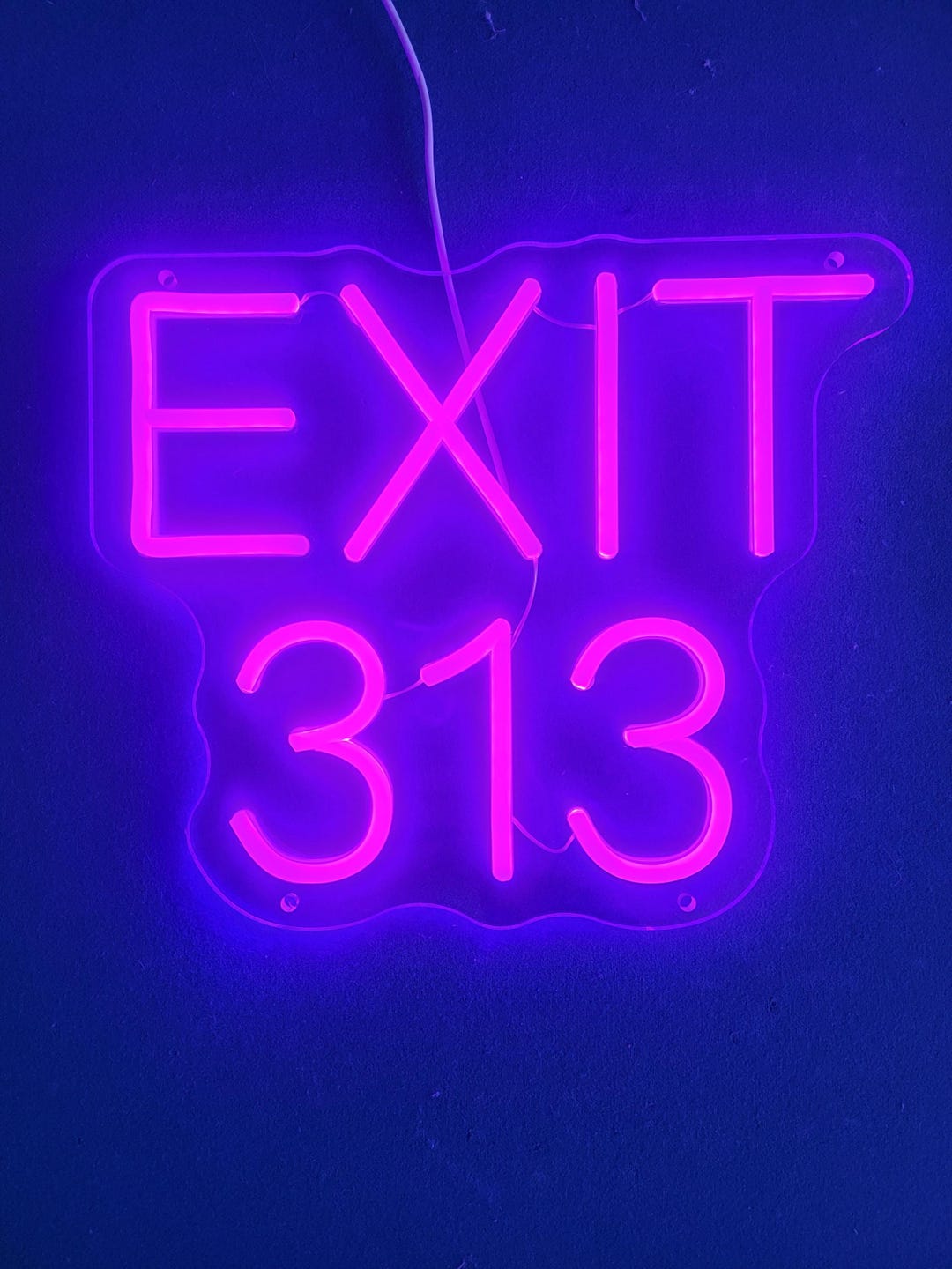 EXIT 313 L.E.D. Neon Sign, Kansas State University in Manhattan, Kansas ...