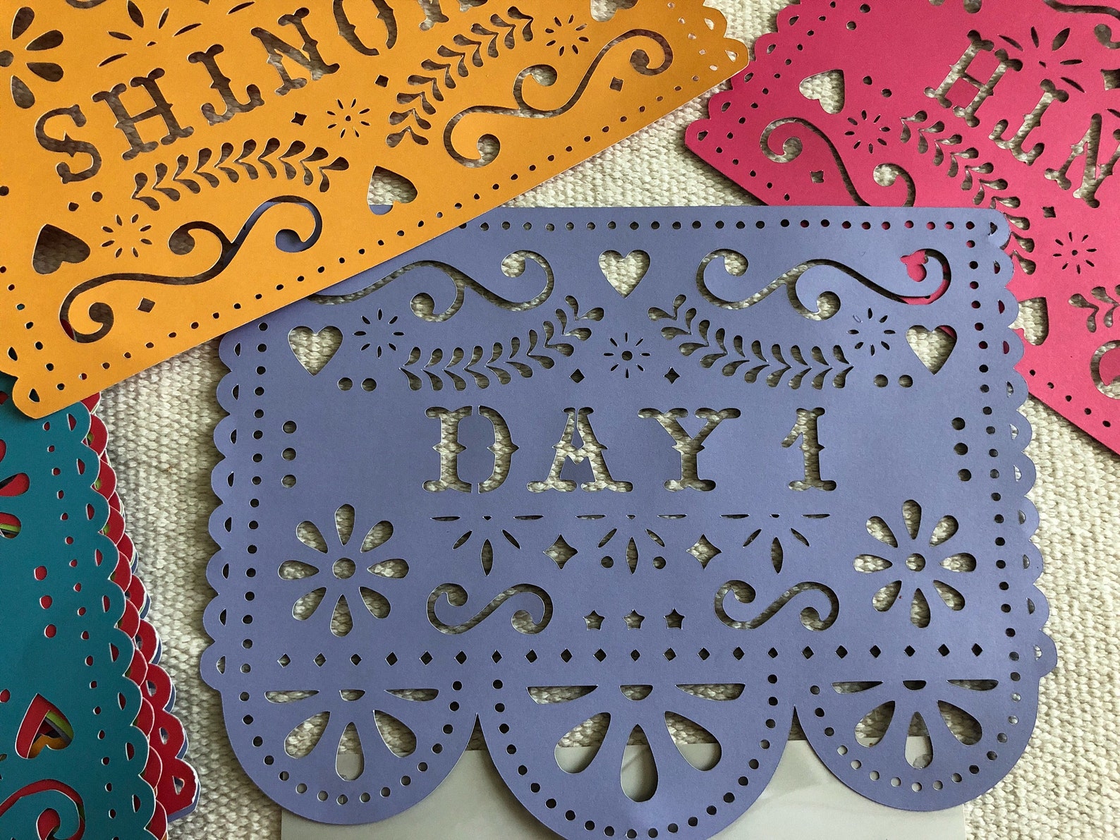 First Year Birthday Banner Day 1 12 Months Papel Picado | Etsy