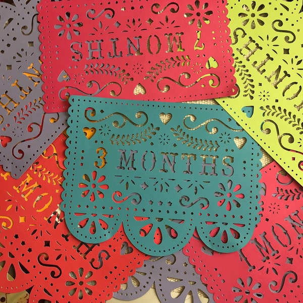 Papel Picado Encanto - Etsy