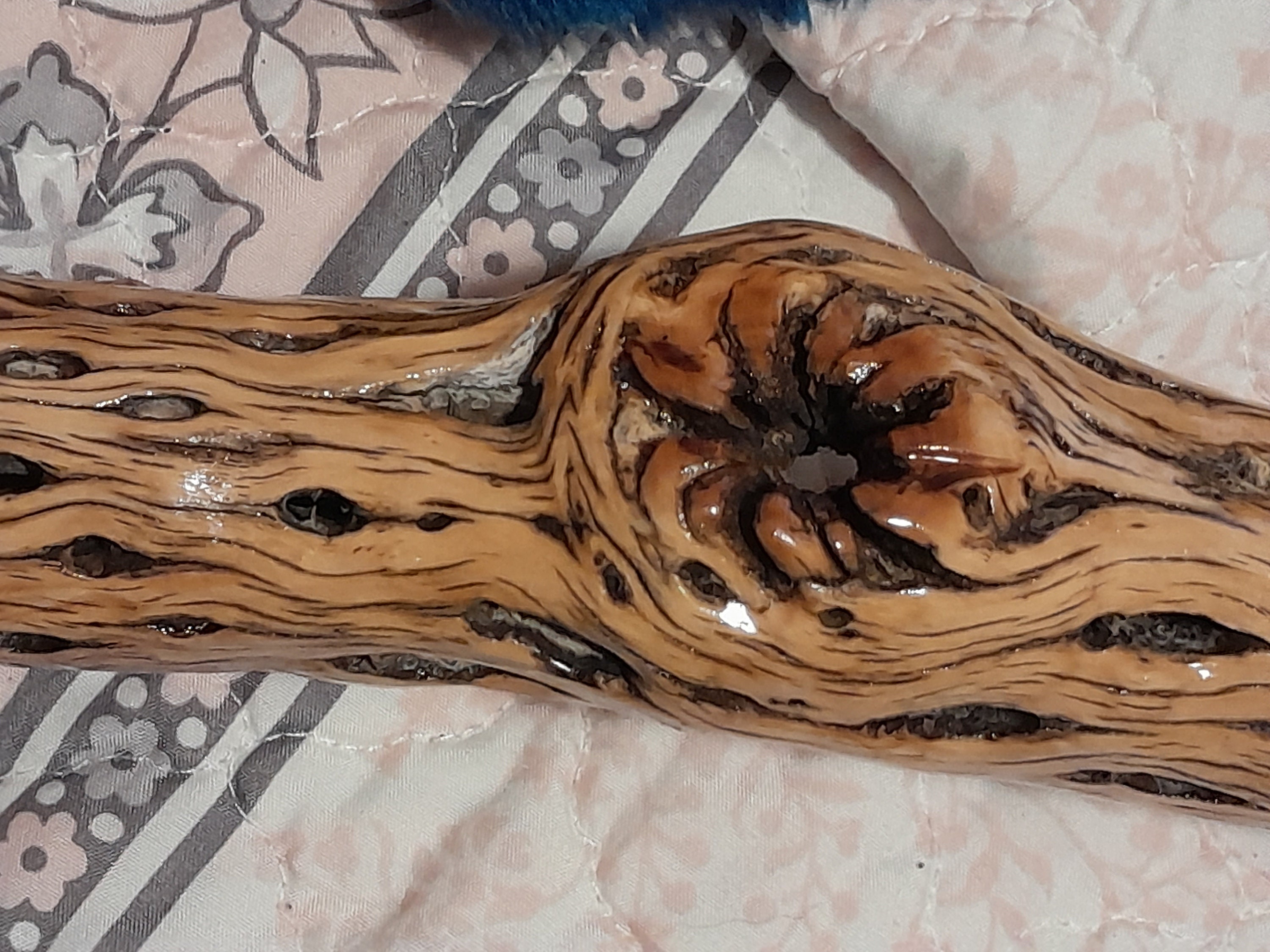 Cholla Wood Light Pendant - Etsy