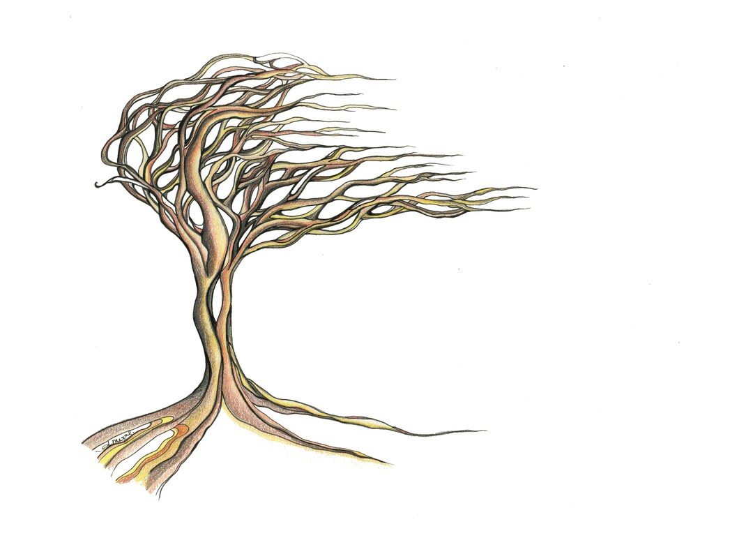 Let Go Tree Print - Etsy