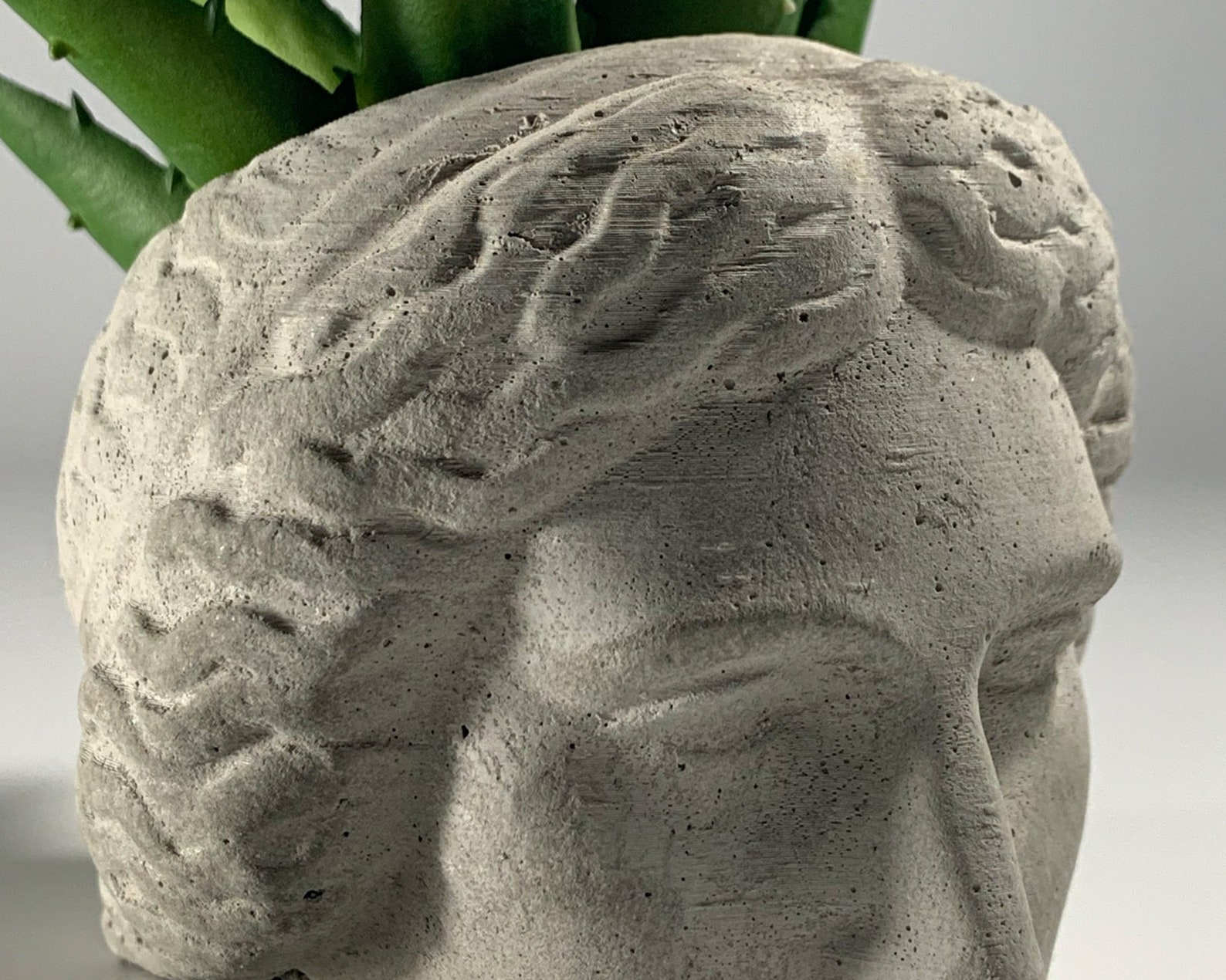 ARTEMIS FACE PLANTER Artemis Head Planter Head Planter - Etsy