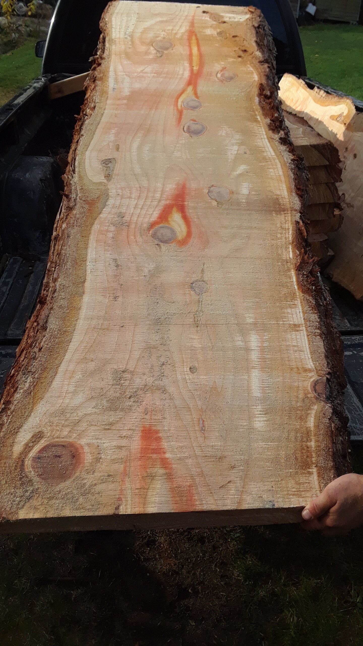 Rare and Special Huge Sequoia Slabs Locally Sourced Dry and Ready - Etsy