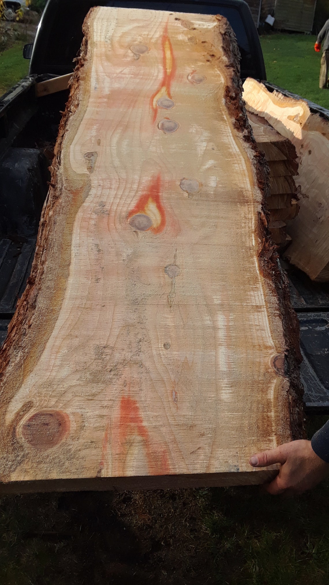 Rare and Special Huge Sequoia Slabs Locally Sourced Dry and Ready - Etsy