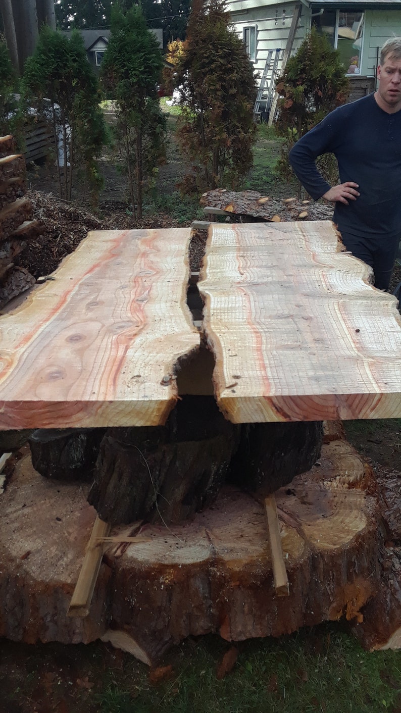 Rare and Special Huge Sequoia Slabs Locally Sourced Dry and Ready ...