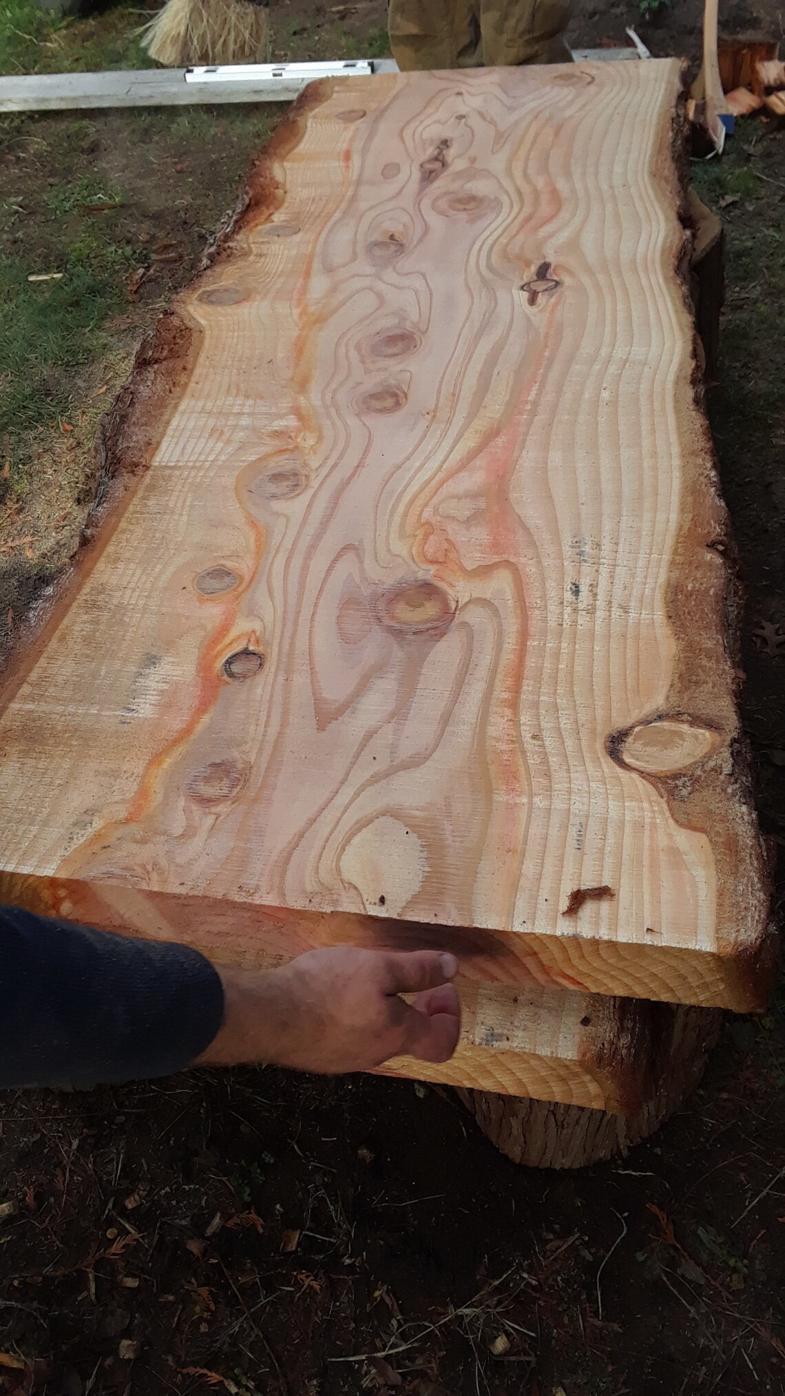 Rare and Special Huge Sequoia Slabs Locally Sourced Dry and Ready - Etsy