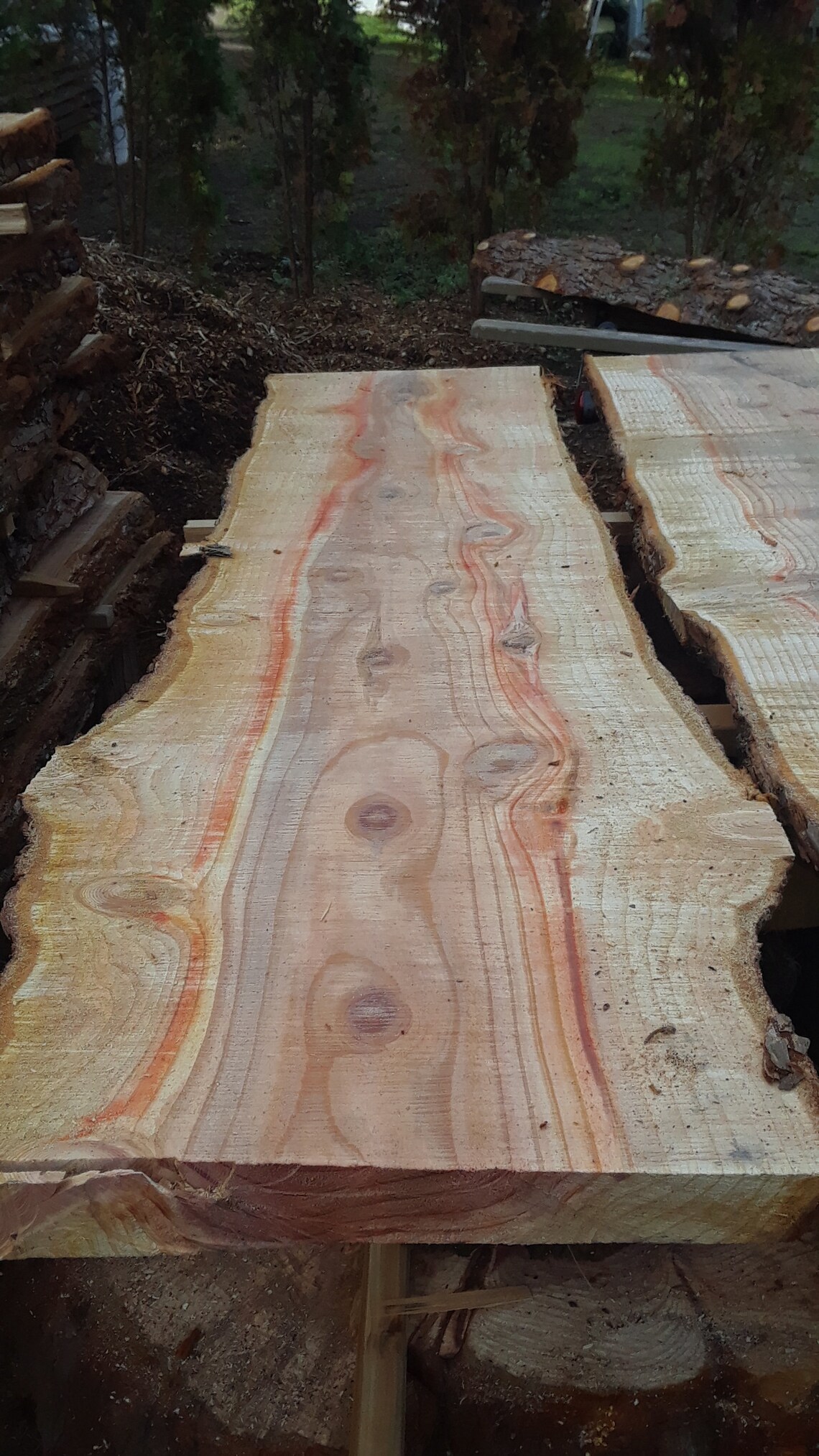 Rare and Special Huge Sequoia Slabs Locally Sourced Dry and Ready - Etsy