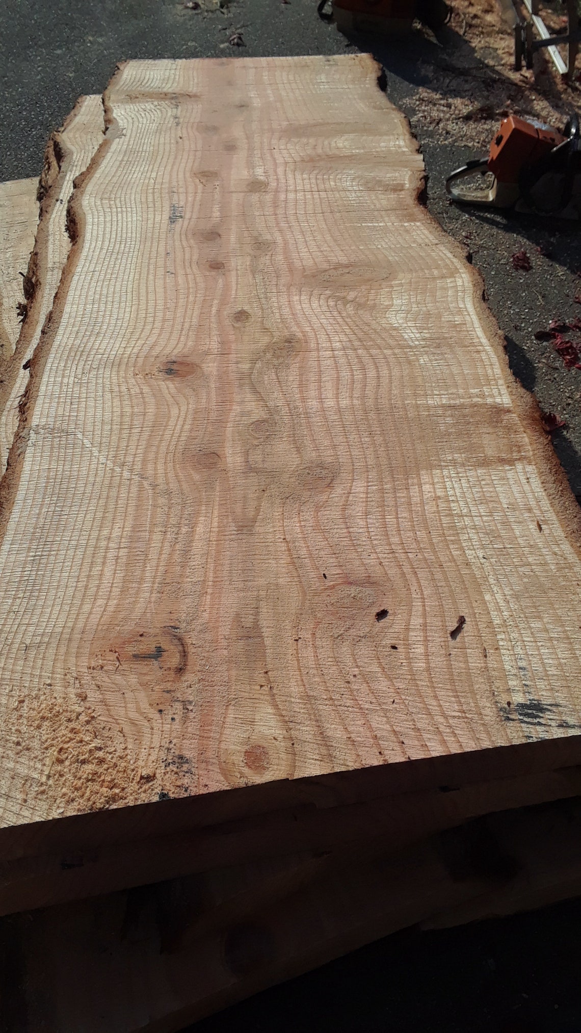 Rare and Special Huge Sequoia Slabs Locally Sourced Dry and Ready - Etsy