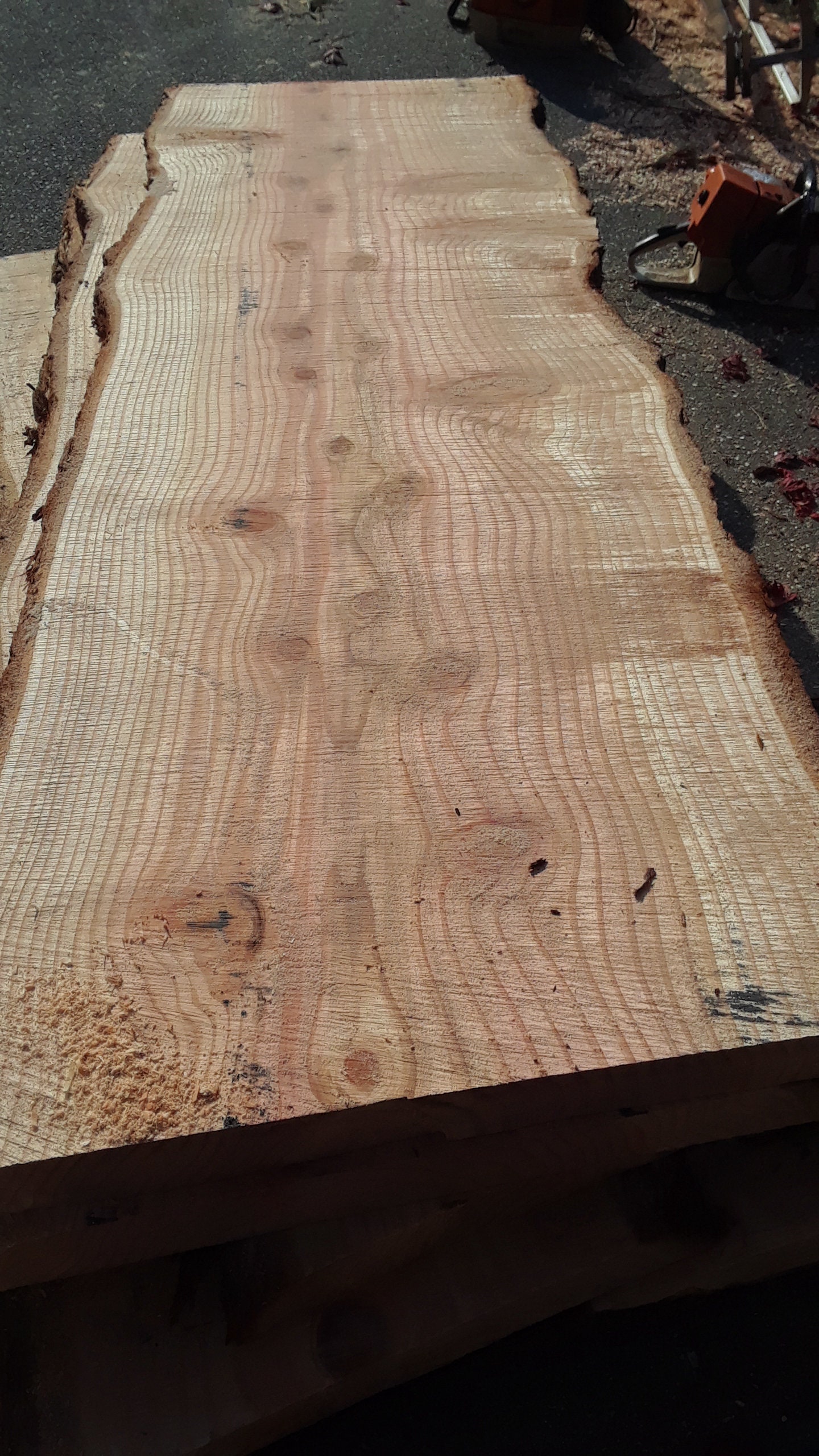 Rare and Special Huge Sequoia Slabs Locally Sourced Dry and Ready - Etsy