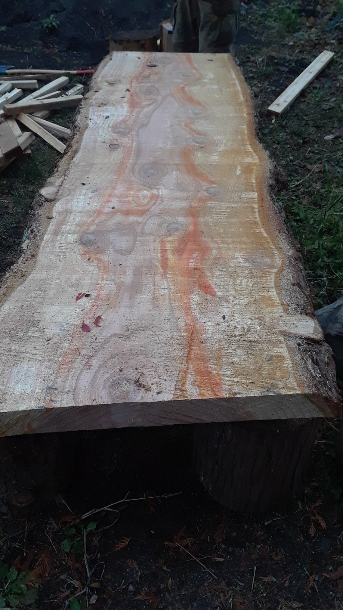 Rare and Special Huge Sequoia Slabs Locally Sourced Dry and Ready - Etsy