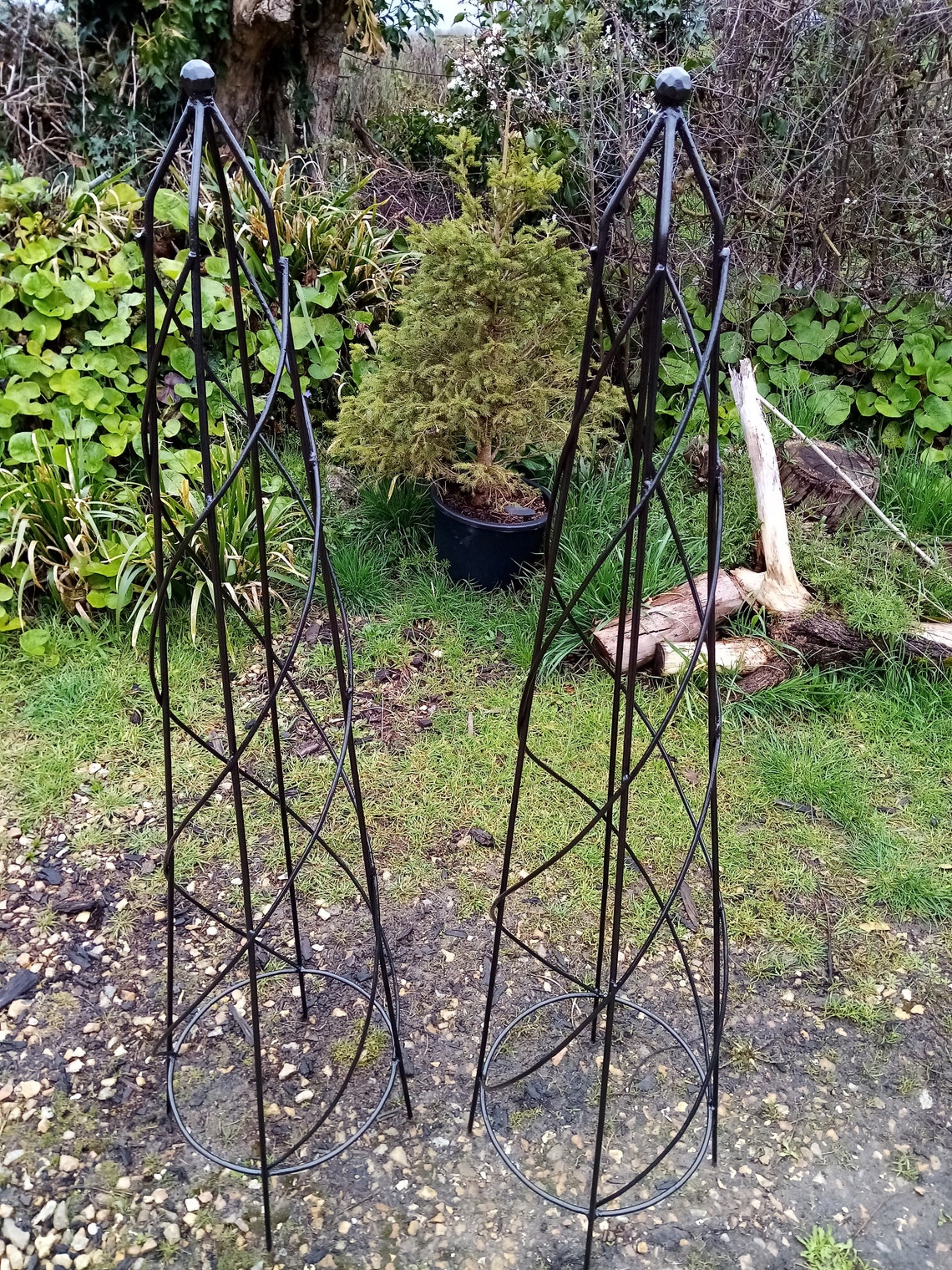 Spiral Rose Obelisk | Etsy