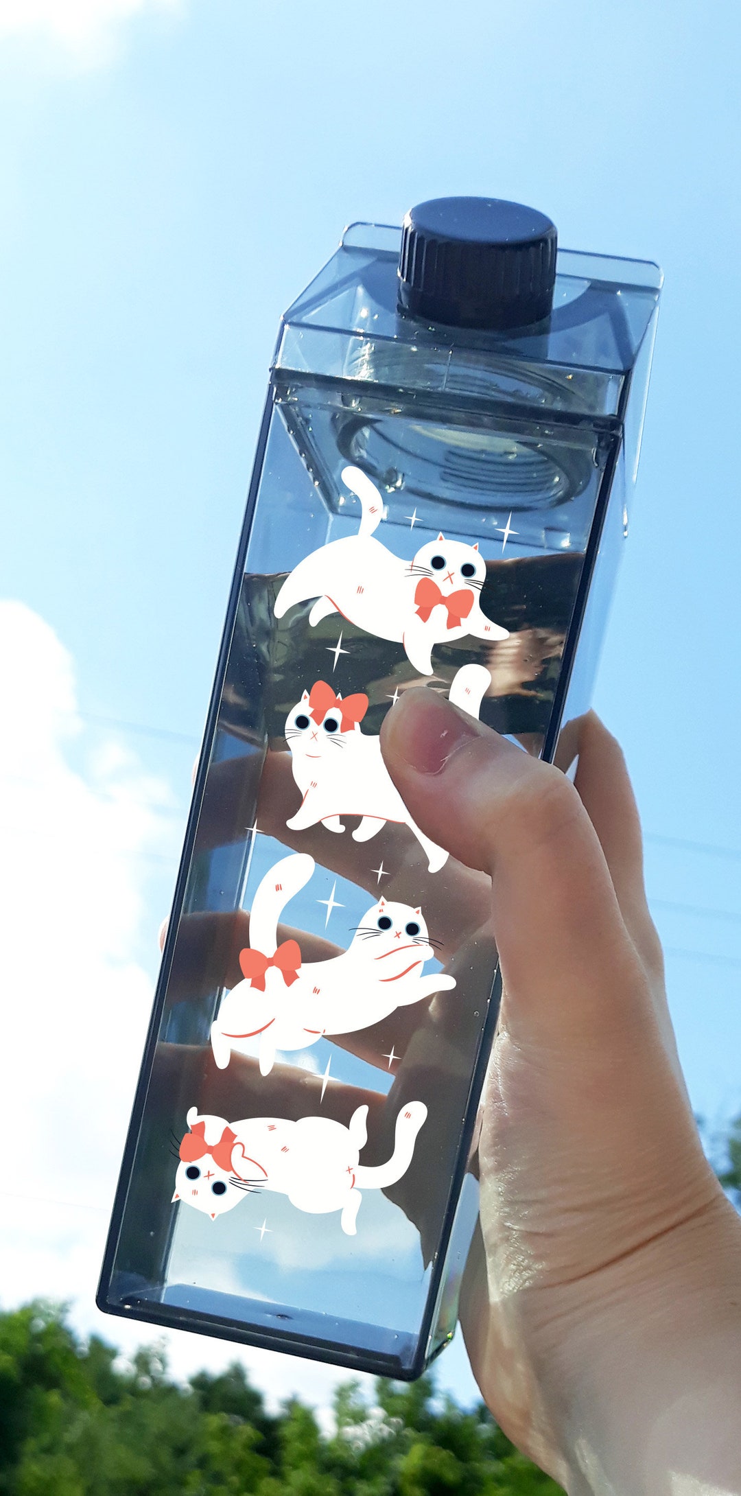 Cat Pattern Milk Carton Water Bottle, Cute Milk Carton, Fun Water ...