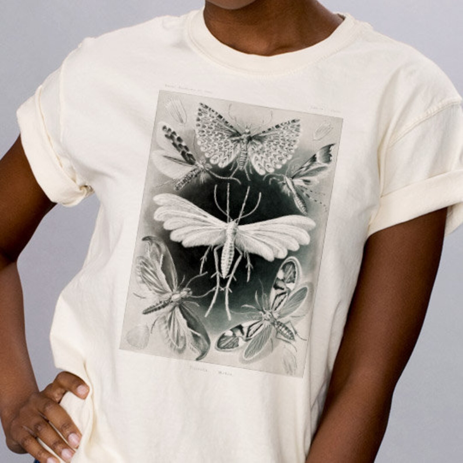 Vintage Moth Chart Shirt, Ivory Comfort Colors Short Sleeve Tee, Moth ...