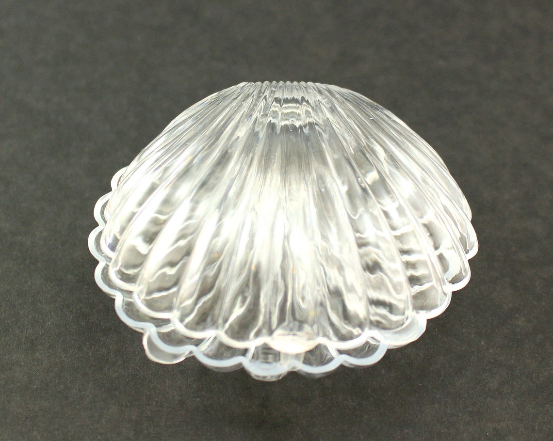 Clear & White Plastic Clam Shells Seashell Party Favors 12 - Etsy Australia