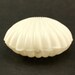 Clear & White Plastic Clam Shells Seashell Party Favors 12 - Etsy