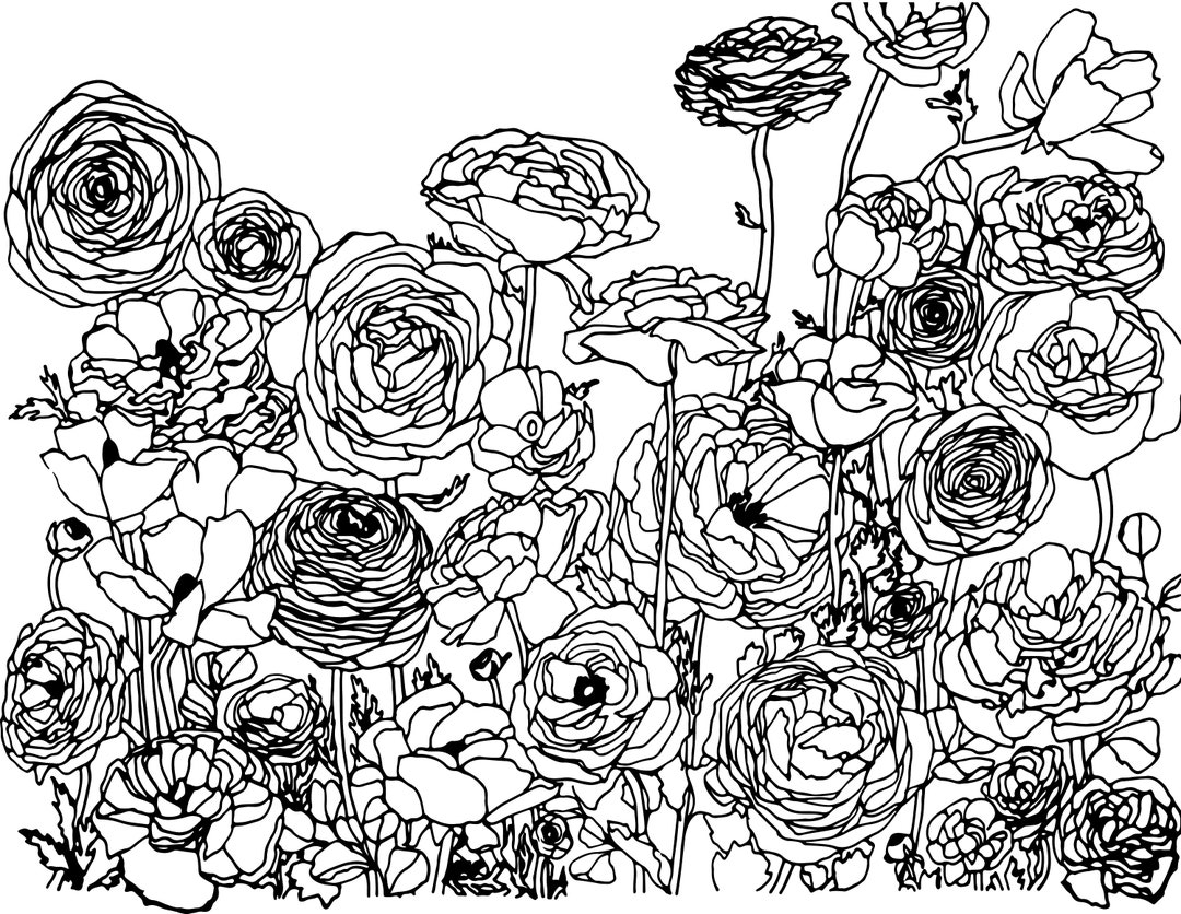 Field of Flowers, Coloring Page - Etsy