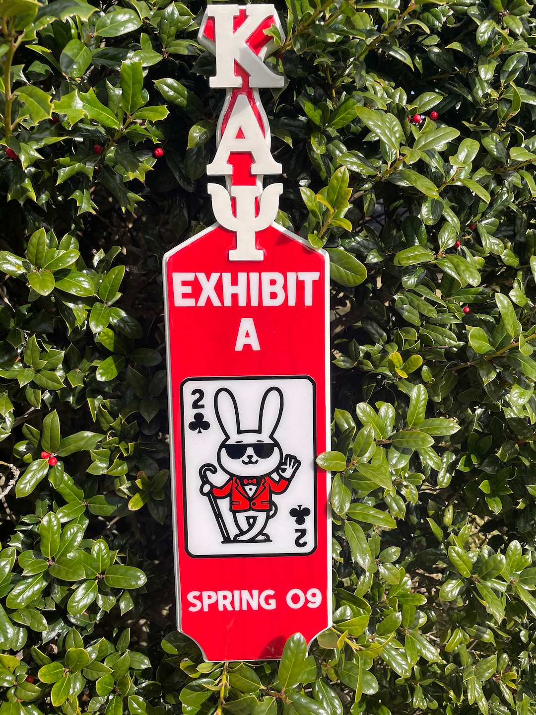 Custom Greek Paddle Kappa Alpha Psi Delta Sigma Theta Zeta Phi Beta ...