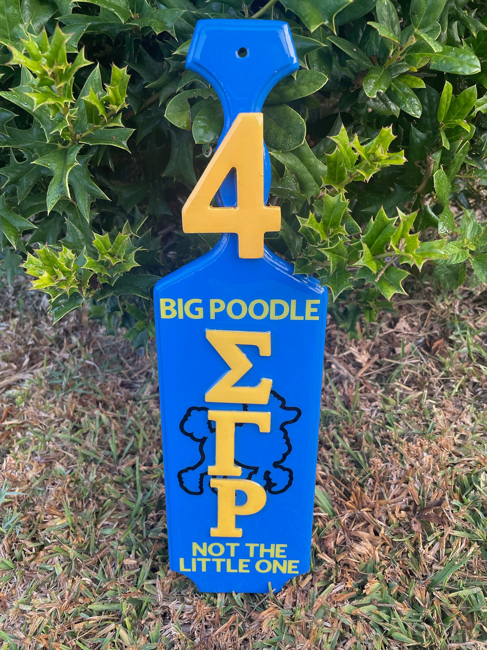 Custom Greek Paddle Alpha Phi Alpha, Alpha Kappa Alpha, Delta Sigma ...